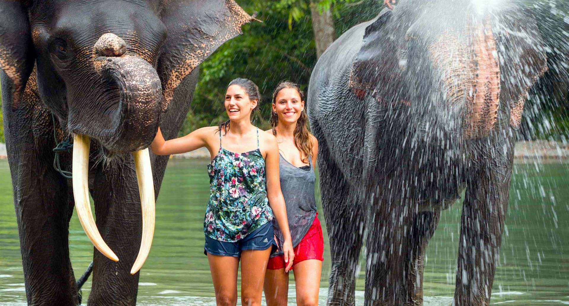 Tangkahan - Sumatran Elephants - 1-Day Tour - Sumatra EcoTravel