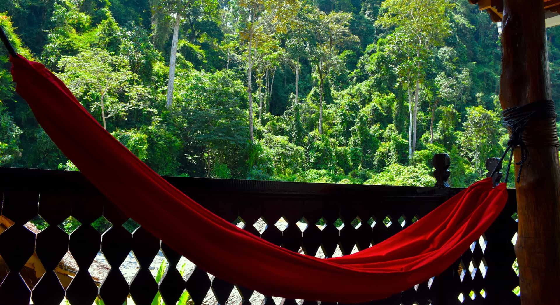 Jungle View Suite - EcoTravel Cottages - Bukit Lawang - Sumatra