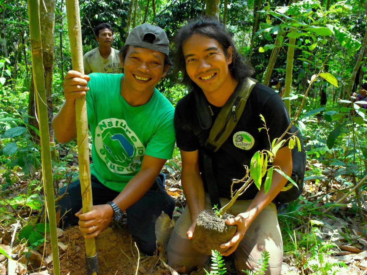 Planting Trees - Sumatra EcoTourism - Sumatra EcoTravel