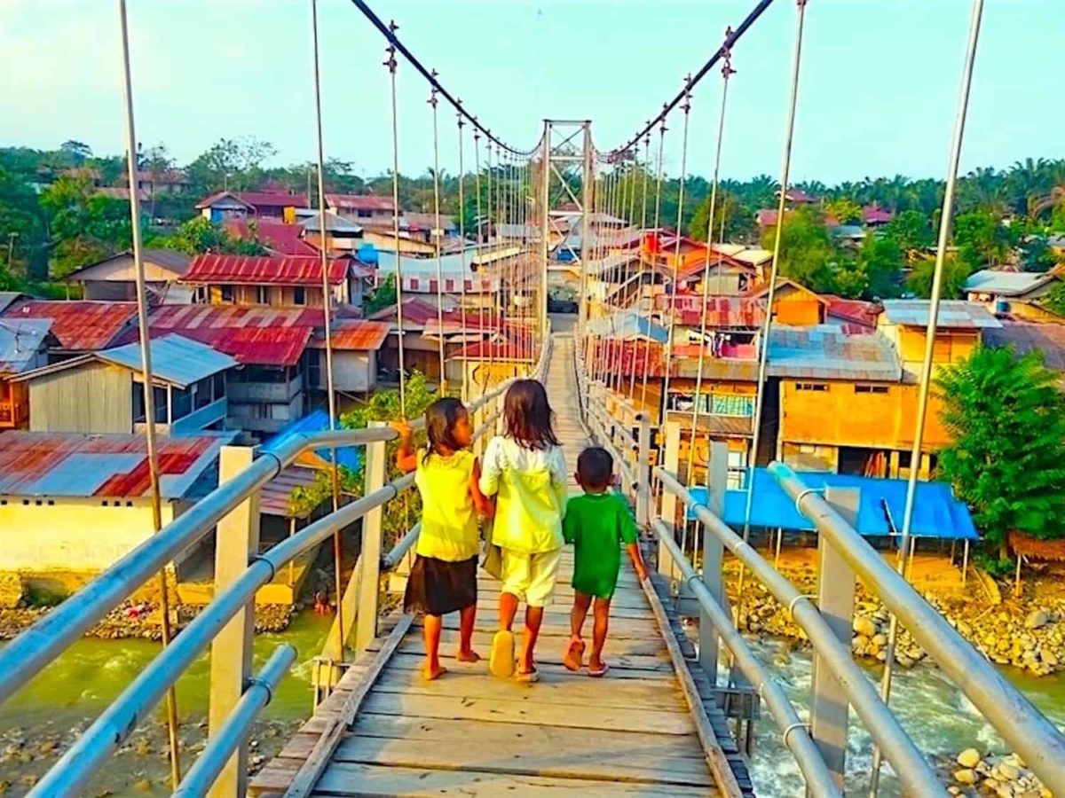 Bukit Lawang - Jungle Trekking & Tours - Sumatra EcoTravel Bukit Lawang
