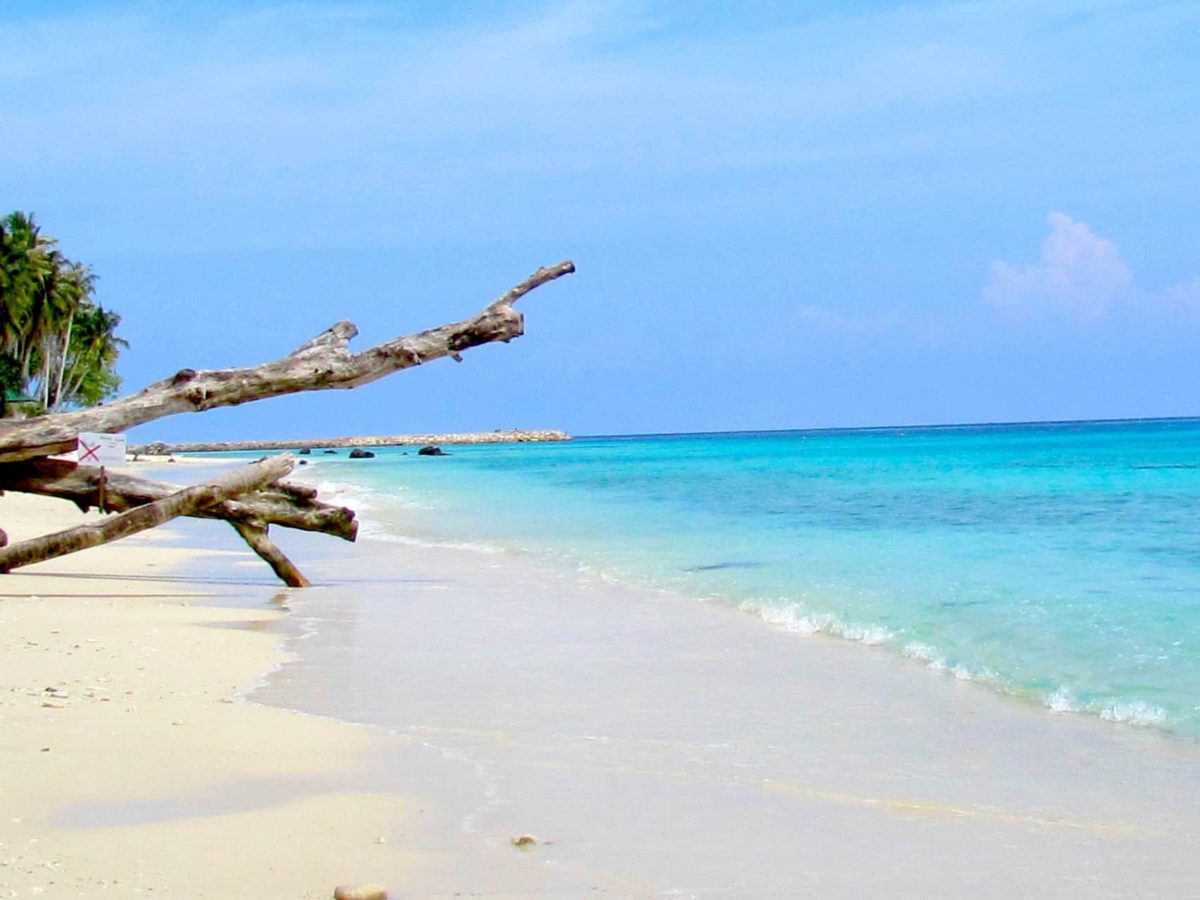 Sumatra Holiday - Bukit Lawang - Toba - Pulau Weh - Sumatra EcoTravel