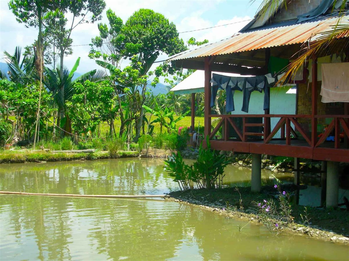 Sumatra Homestay - Bukit Lawang - Local Life - Sumatra EcoTravel