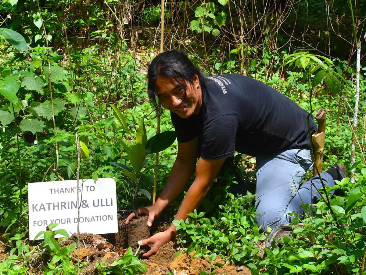 Planting Trees - Sumatra EcoTourism - Sumatra EcoTravel