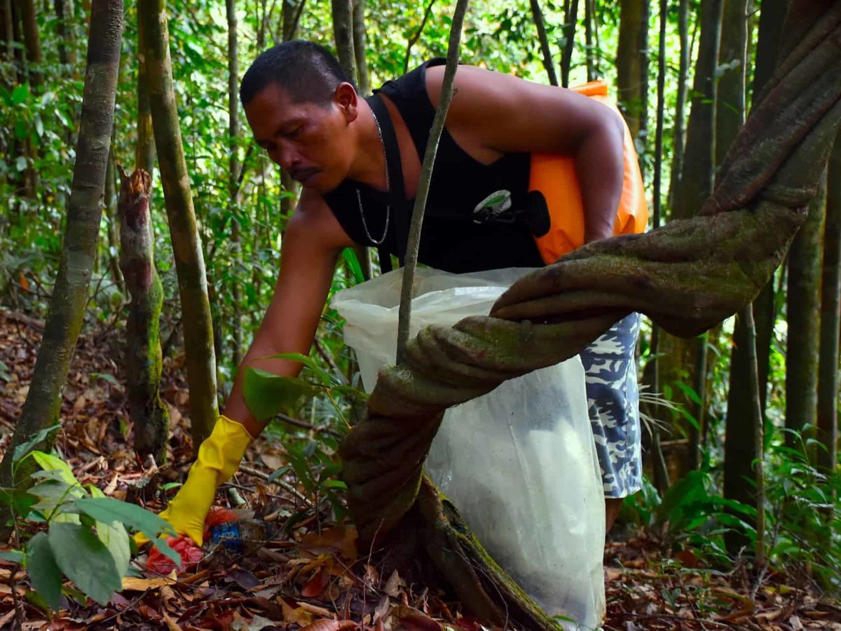 Keep The Jungle Green - Waste Management - Sumatra EcoTravel