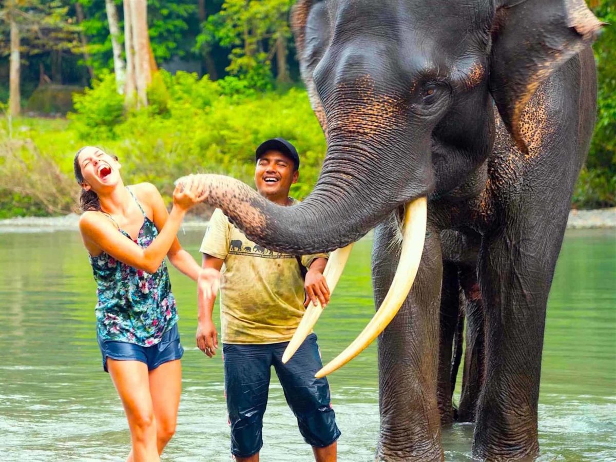 Tangkahan - Sumatran Elephants - 1-Day Tour - Sumatra EcoTravel