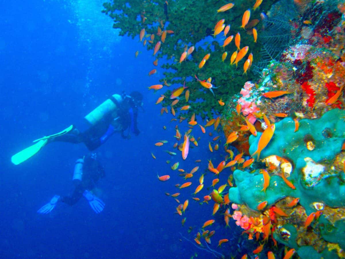 Sumatra Holiday - Bukit Lawang - Toba - Pulau Weh - Sumatra EcoTravel
