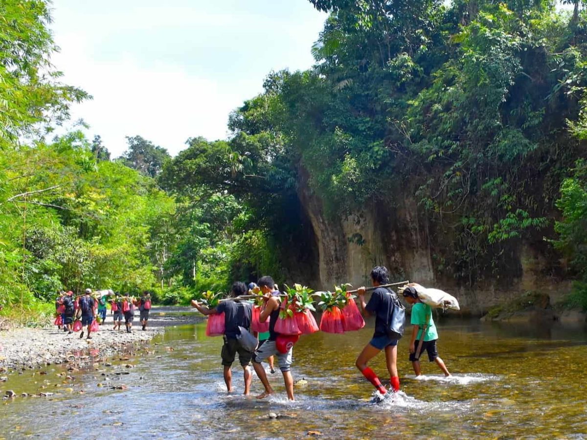 Planting Trees - Sumatra EcoTourism - Sumatra EcoTravel