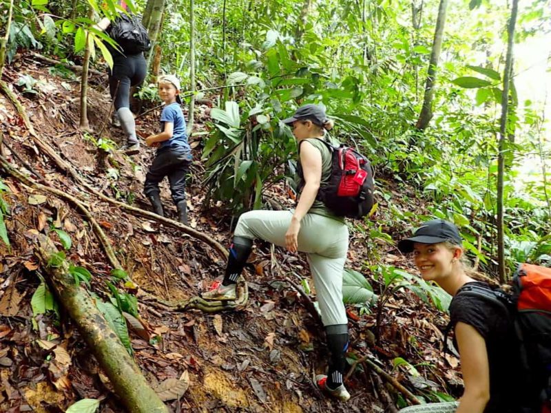 1 Day Trek - Bukit Lawang - Sumatra Trekking - Sumatra EcoTravel